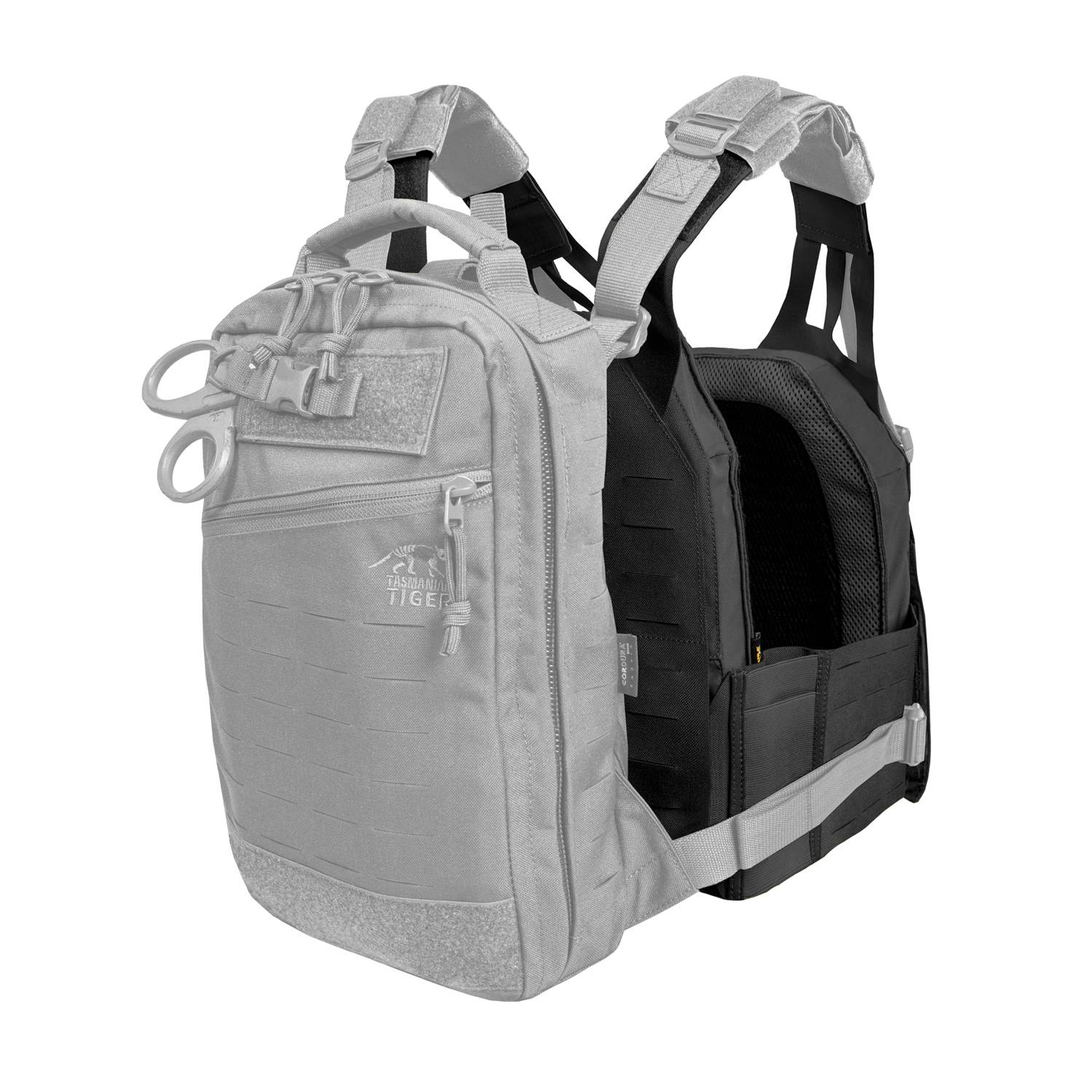 Tasmanian Tiger Plate Carrier LC