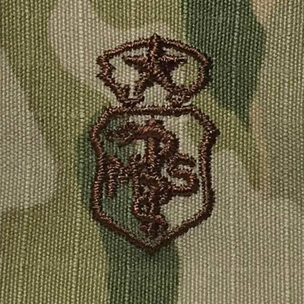 Air Force Master Occupational Badges for the OCP uniforms