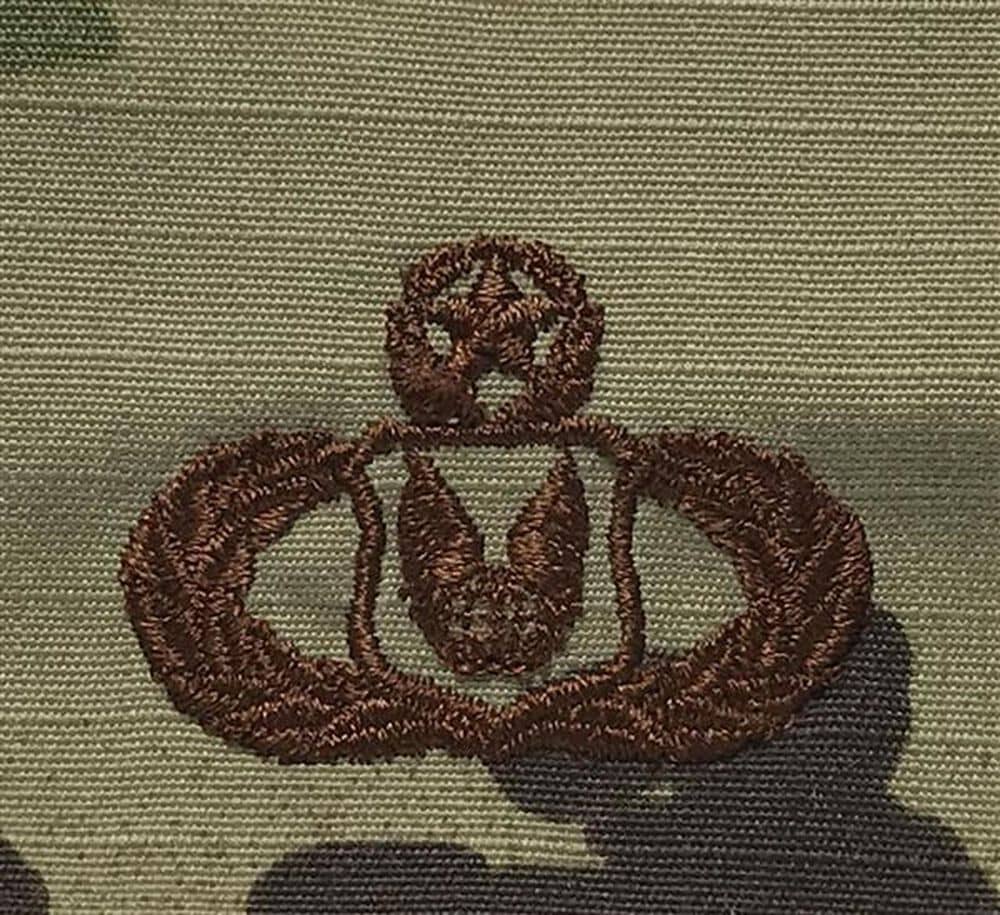 Air Force Master Occupational Badges for the OCP uniforms