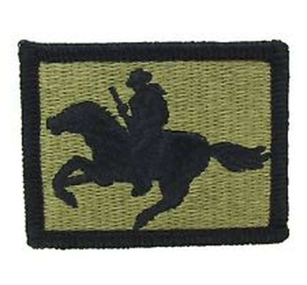 Army National Guard Unit Patches for ACU OCP Unifoms