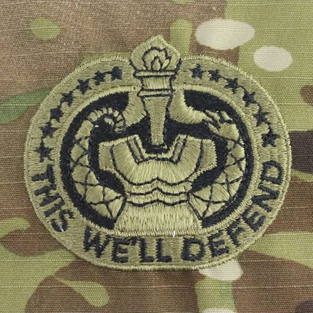 US Army Qualification and Combat Badges | U.S. Patriot